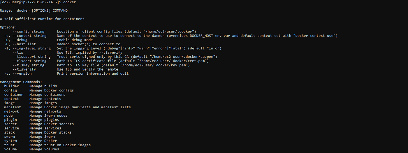 Docker Running On AWS EC2 Linux. Docker is an open source platform for… | by Vishnu V S | Medium