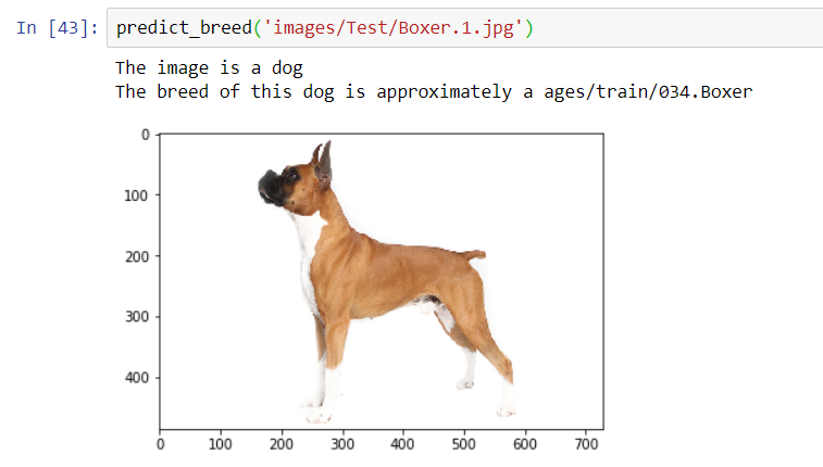 Dog Breed Detection and Classification with Deep Learning CNN | by Aya Abulnasr | Medium