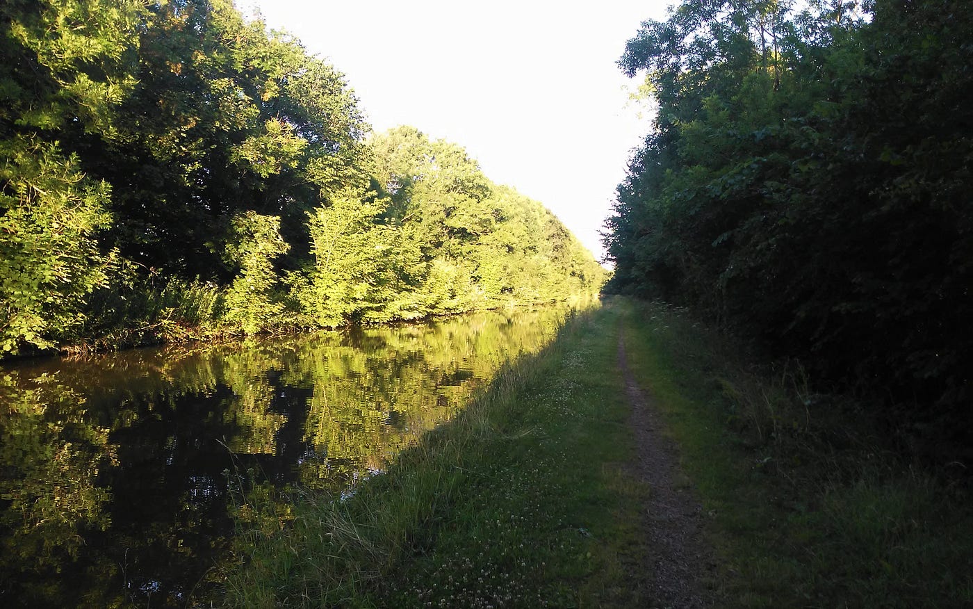 Knighton to High Offley. 5th July 2022: An evening stroll along… | by ...
