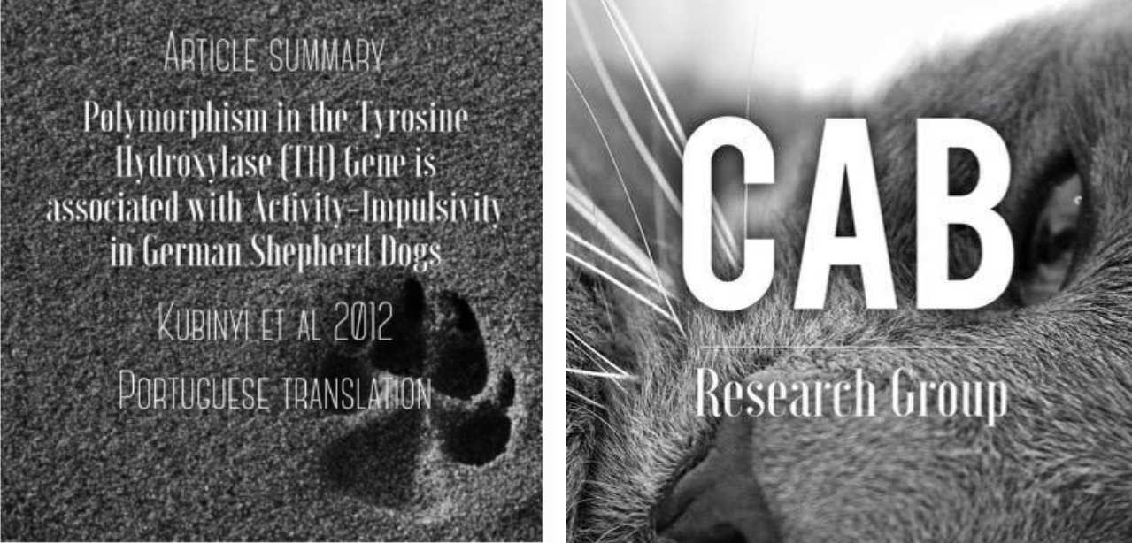 Is there a link between genes and personality traits in German Shepherd ...