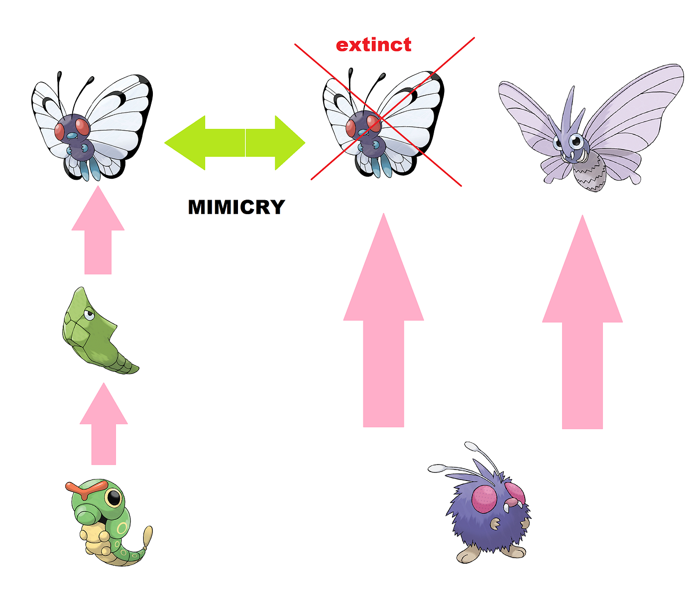 The Caterpie Family. CATERPIE | by Nelson Smith | Medium