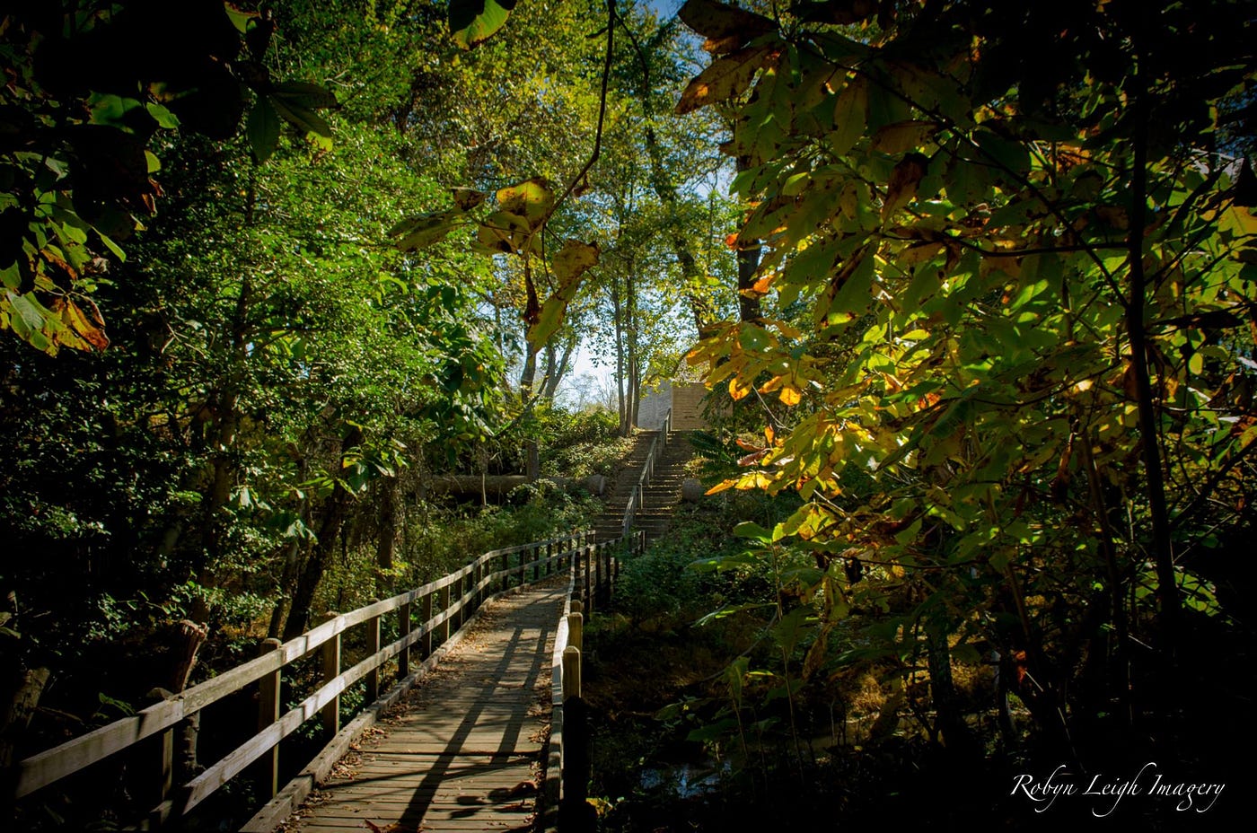 An Autumn Pictorial… NJ Paths, Trails and Walkways | by Mike DeCastro ...