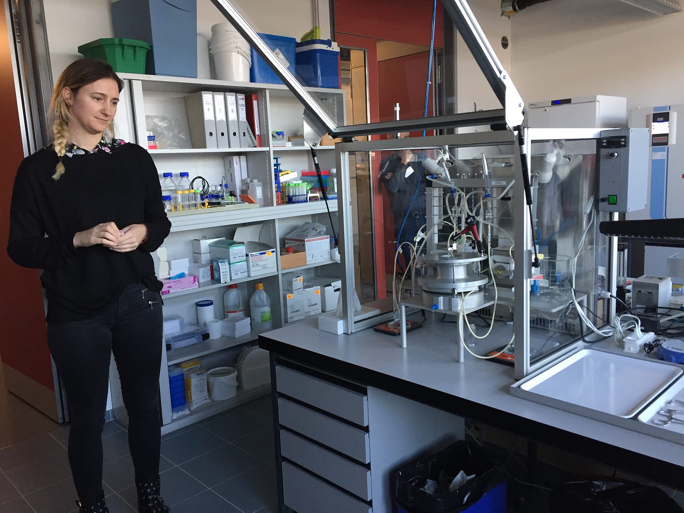 Outside the business box — Visiting EMPA in St.Gallen | by Sabine ...