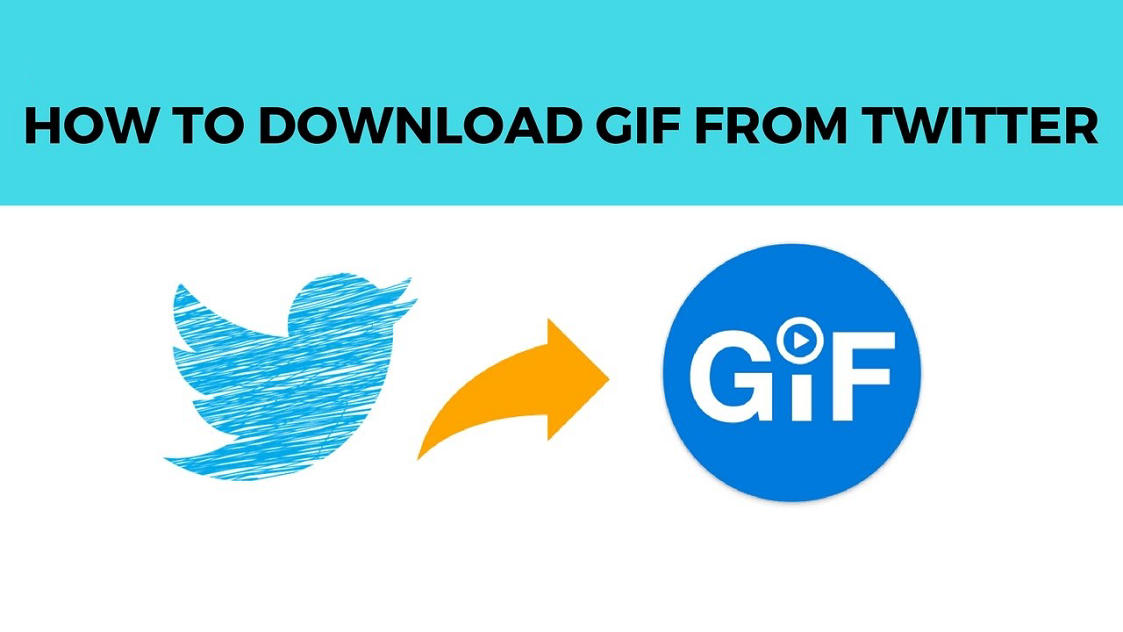 How to download gifs from Twitter — Save GIFs on your device for free ...