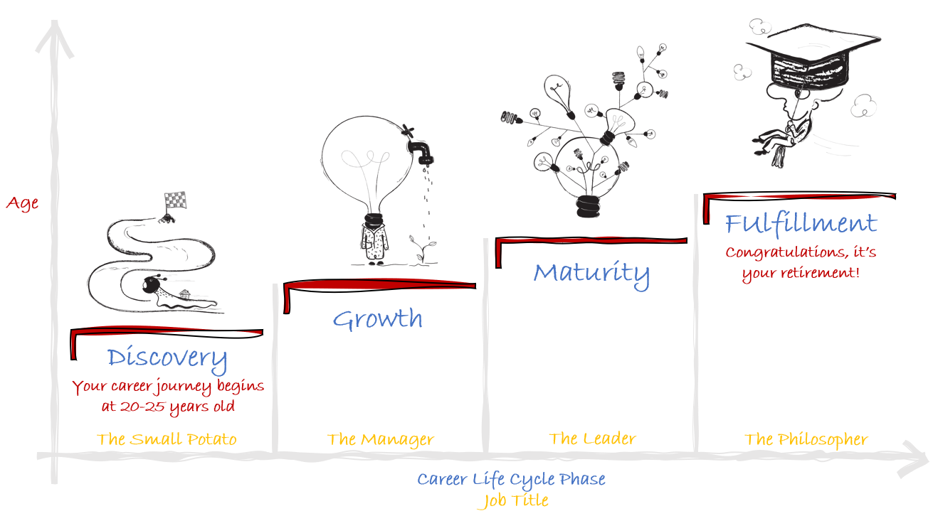 The Career Life Cycle: How We Evolve at Work | by May | Medium