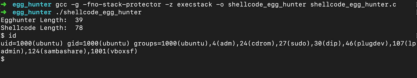 SLAE 0x3: Egg Hunter Shellcode. Guidelines to create an Egg Hunting… | by Aditya Chaudhary | Medium