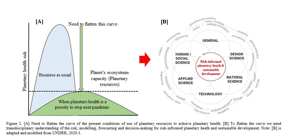 Planetary Health Perspectives and Implications of COVID-19 | by ...