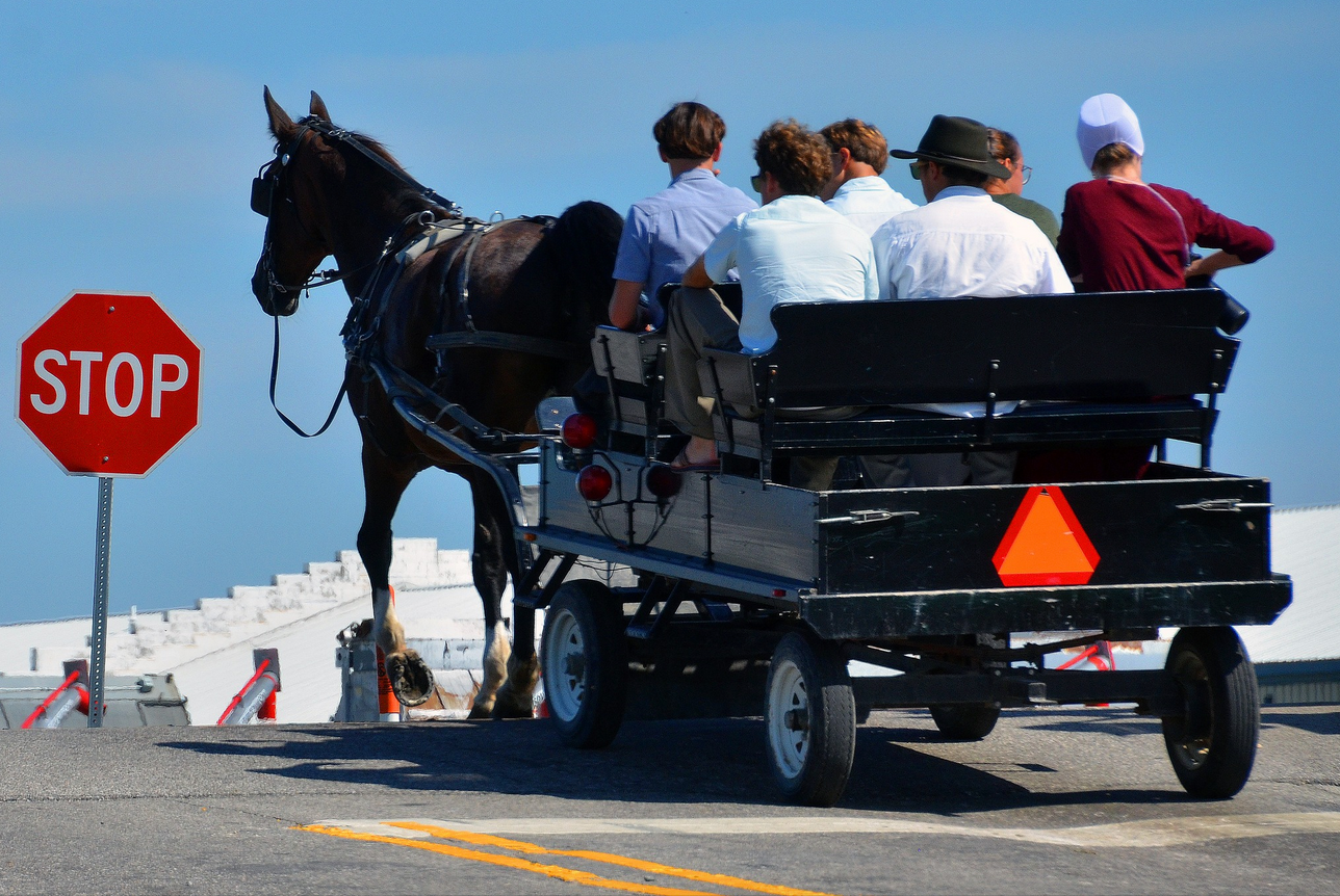 AMISH DRIVER’S TRAINING - REFLECTIONS by Dawn - Medium
