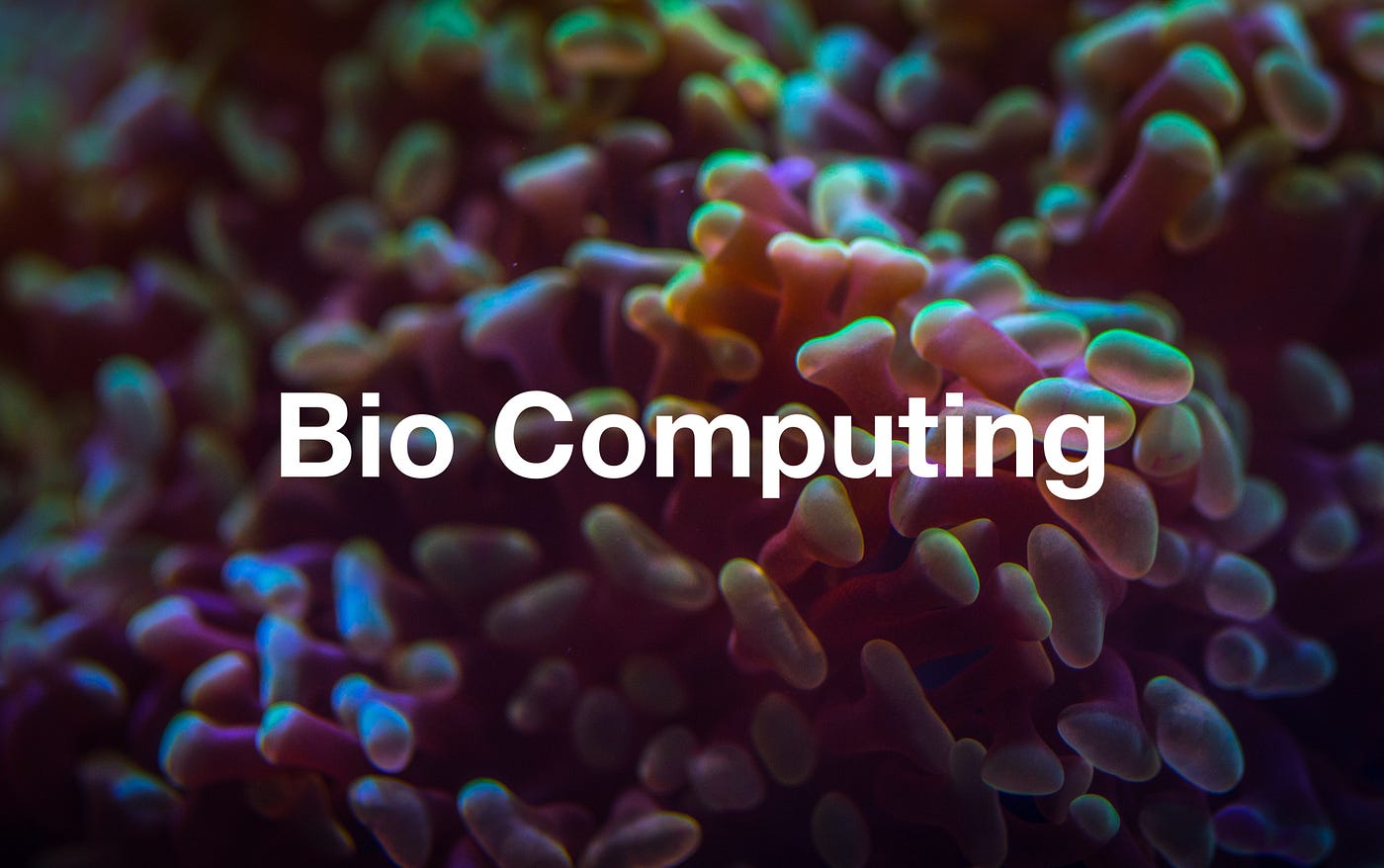 What Is Biocomputing?. Biocomputing — a cutting-edge field of… | by ...