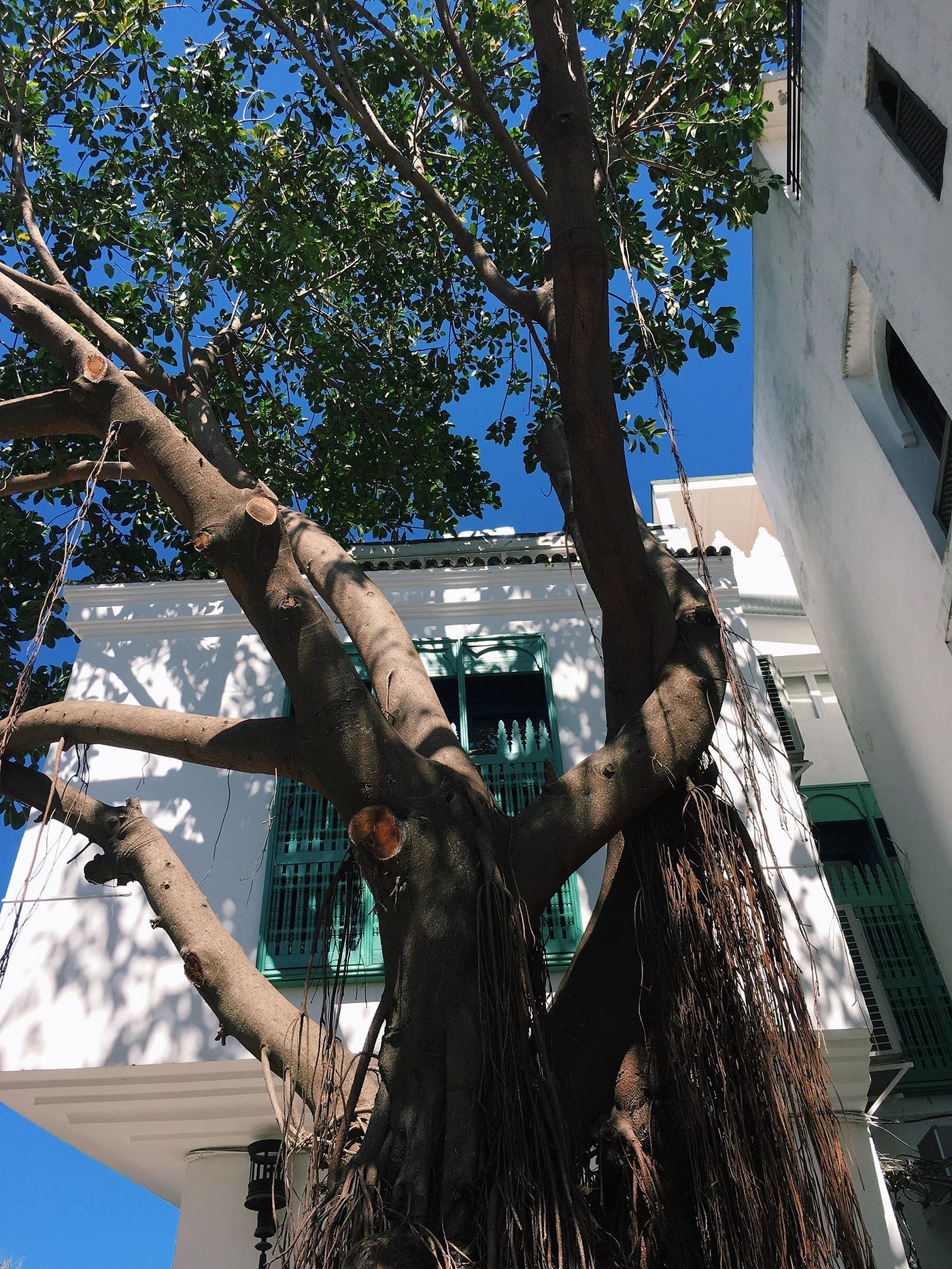 The colours of Tangier. For the first time in my life I have… | by Thea ...