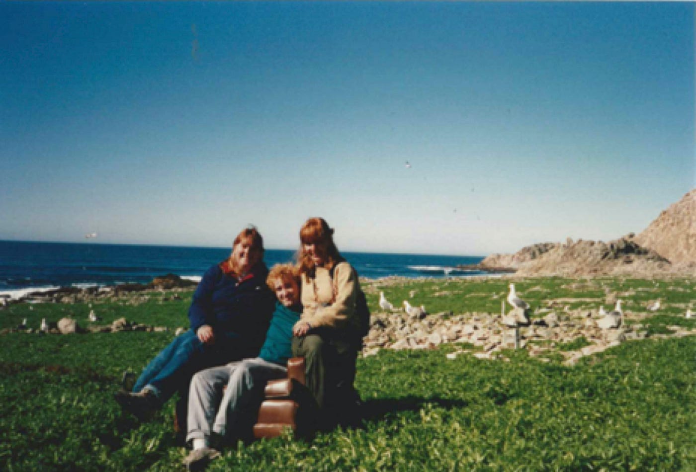 Seal and Boy — A Love Story. Bruce Hungate | by Bruce Hungate | Medium