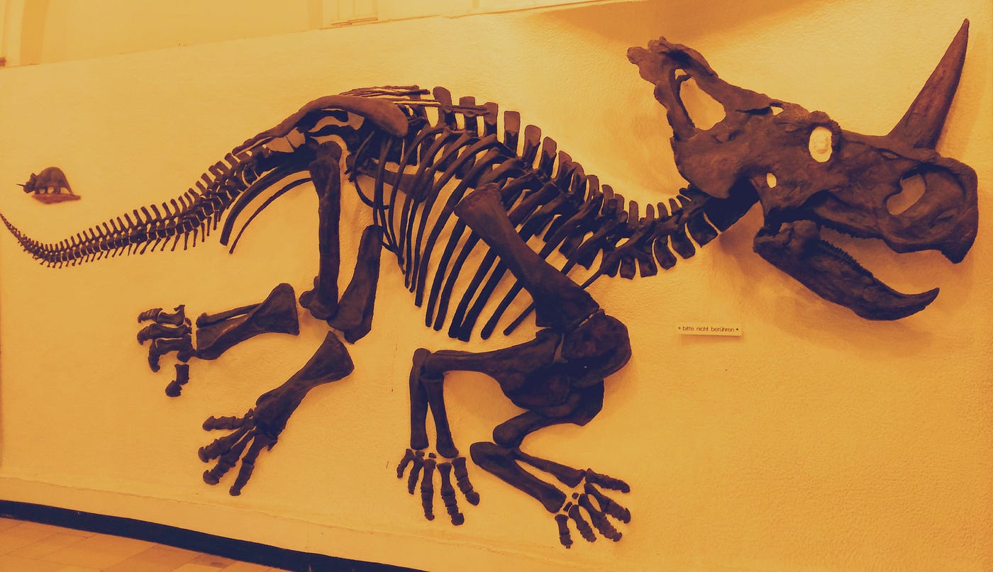 75-Million-Year-Old Dinosaur Suffered From Malignant Bone Cancer | by ...
