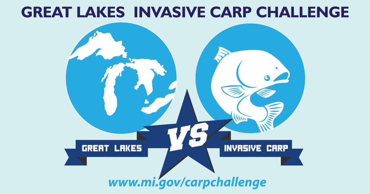 It’s Time to Step up and Keep Invasive Carp out of Michigan | by ...