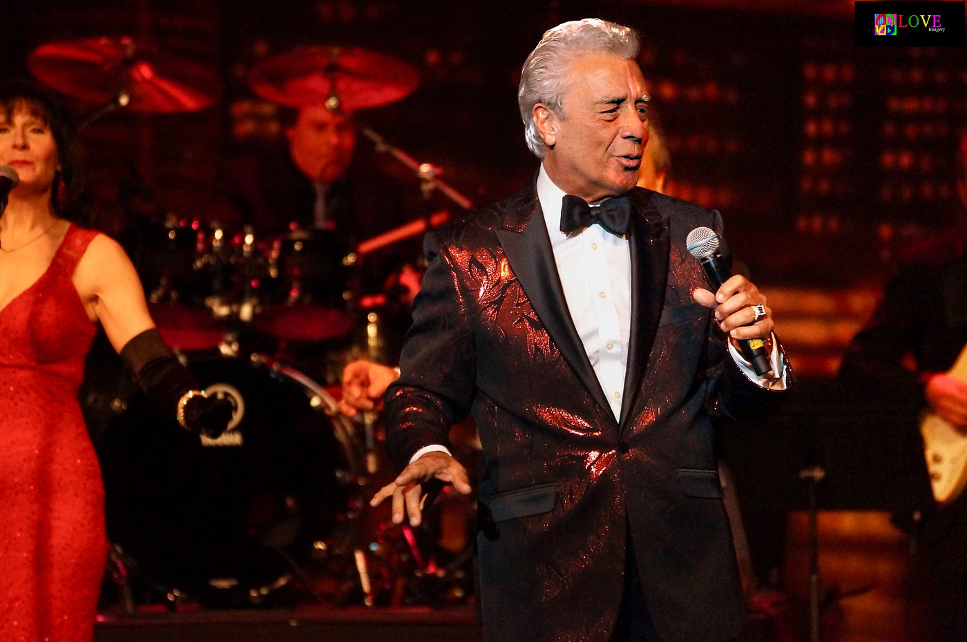 “Still Wanderin’!” Spotlight on The Del-Satins’ Stan Zizka | by ...