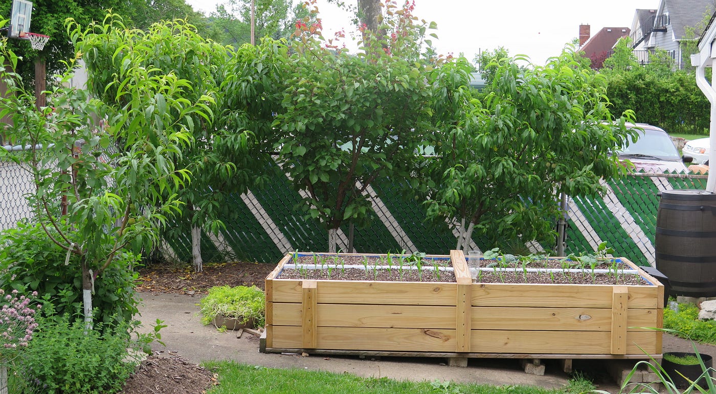 Barriers to Growing Fruit Trees: Fruit Trees Are Too Hard to Manage ...