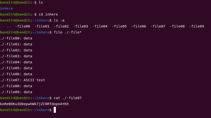 OverTheWire Bandit Challenges Writeups (From Level0 to Level20→21) | by Kim Miratorimoonlight ...