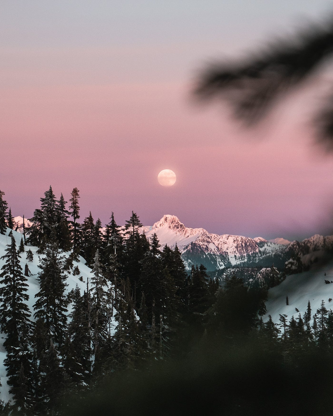 Pink Moon - Lit Up - Medium