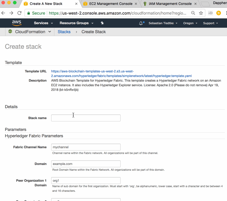 Get started with blockchain using the AWS Hyperledger Fabric template — an unofficial guide ...