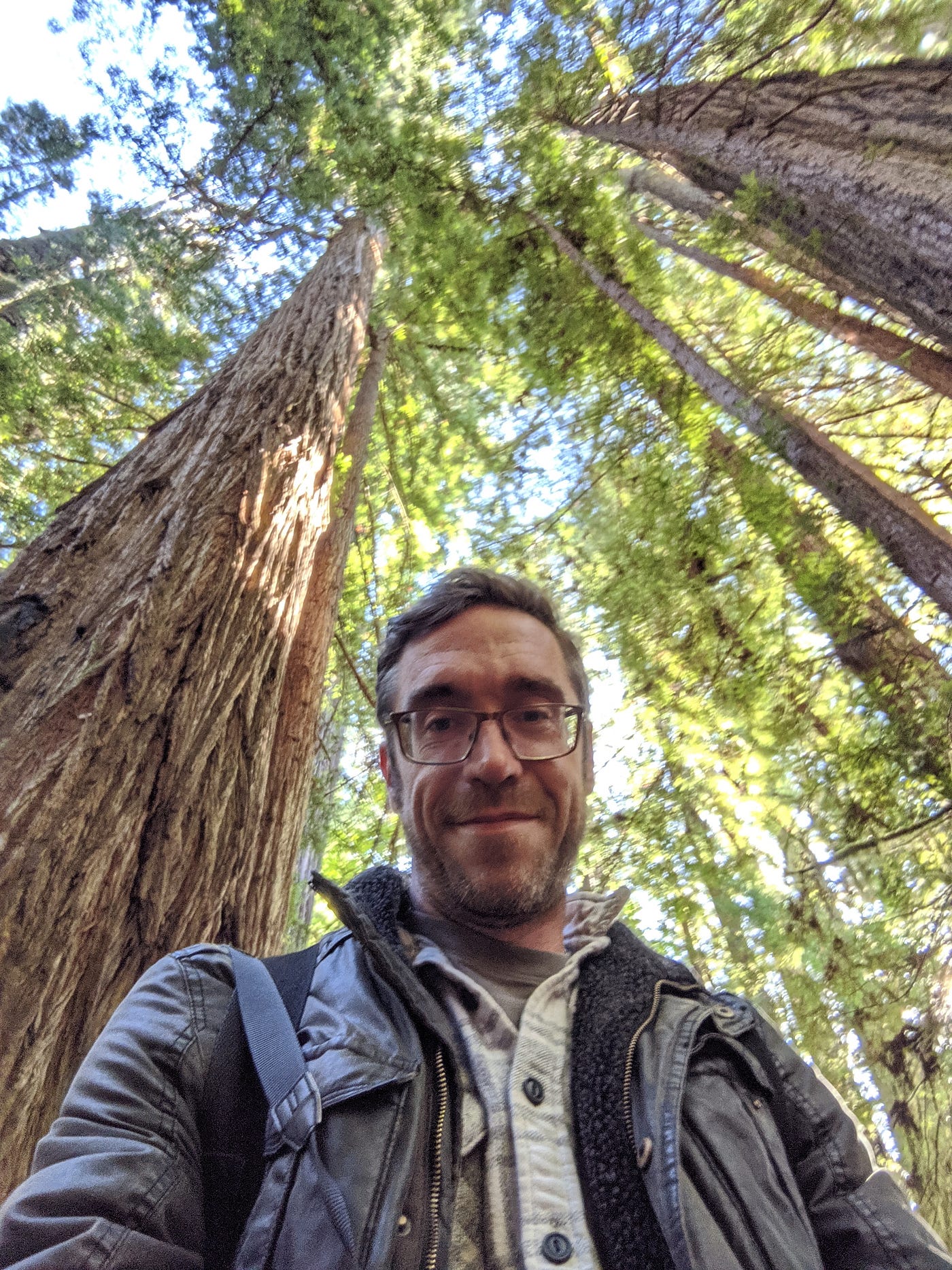 Redwoods National Park’s Exclusive Hike: Tall Trees Trail | by A ...