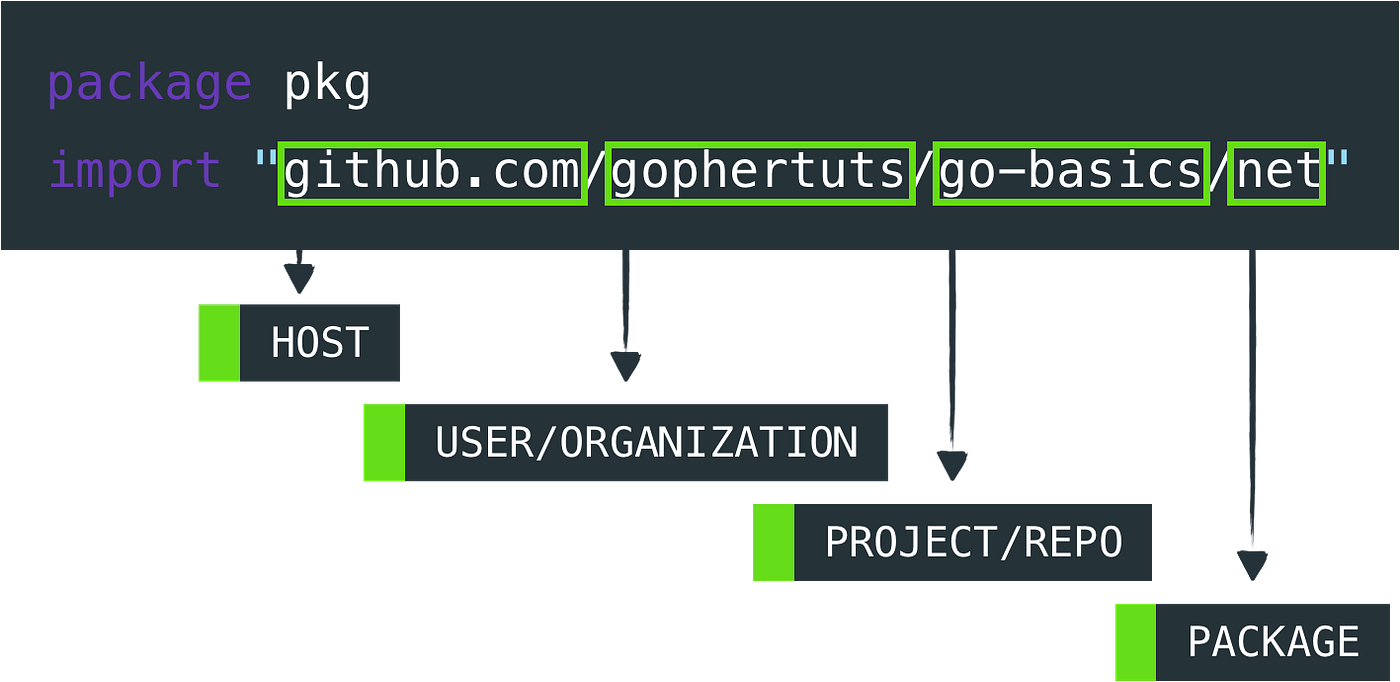Packages in Go. Something you import inside your… | by GopherTuts | Medium