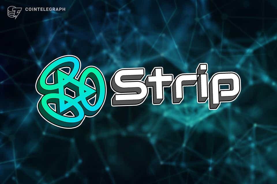 Vision Of Strip Finance. The vision of Strip Finance to build… | by ...