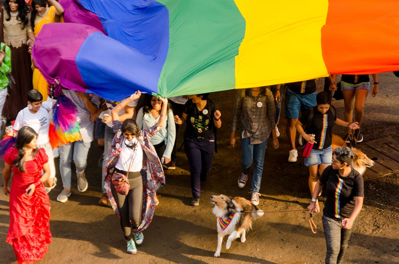 The pride in the fight for our rights | by Satyan Chawla | Medium