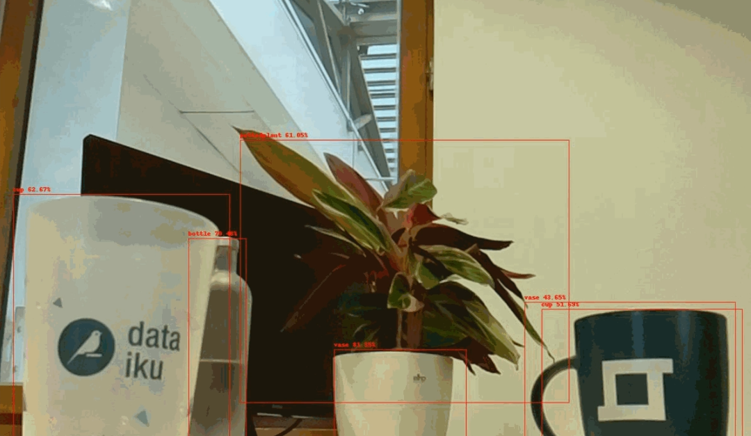Build a not-so-real-time object detection app with Raspberry Pi | by Du ...