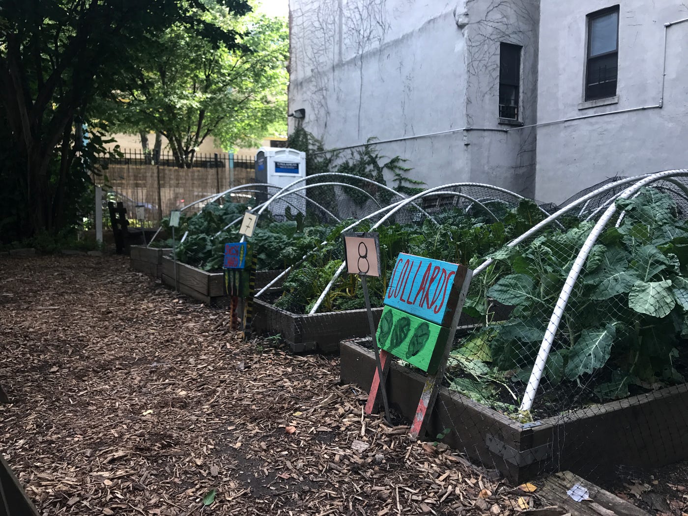 Planting Seeds of Opportunity. Harlem Grown Works to Improve… | by Zein ...