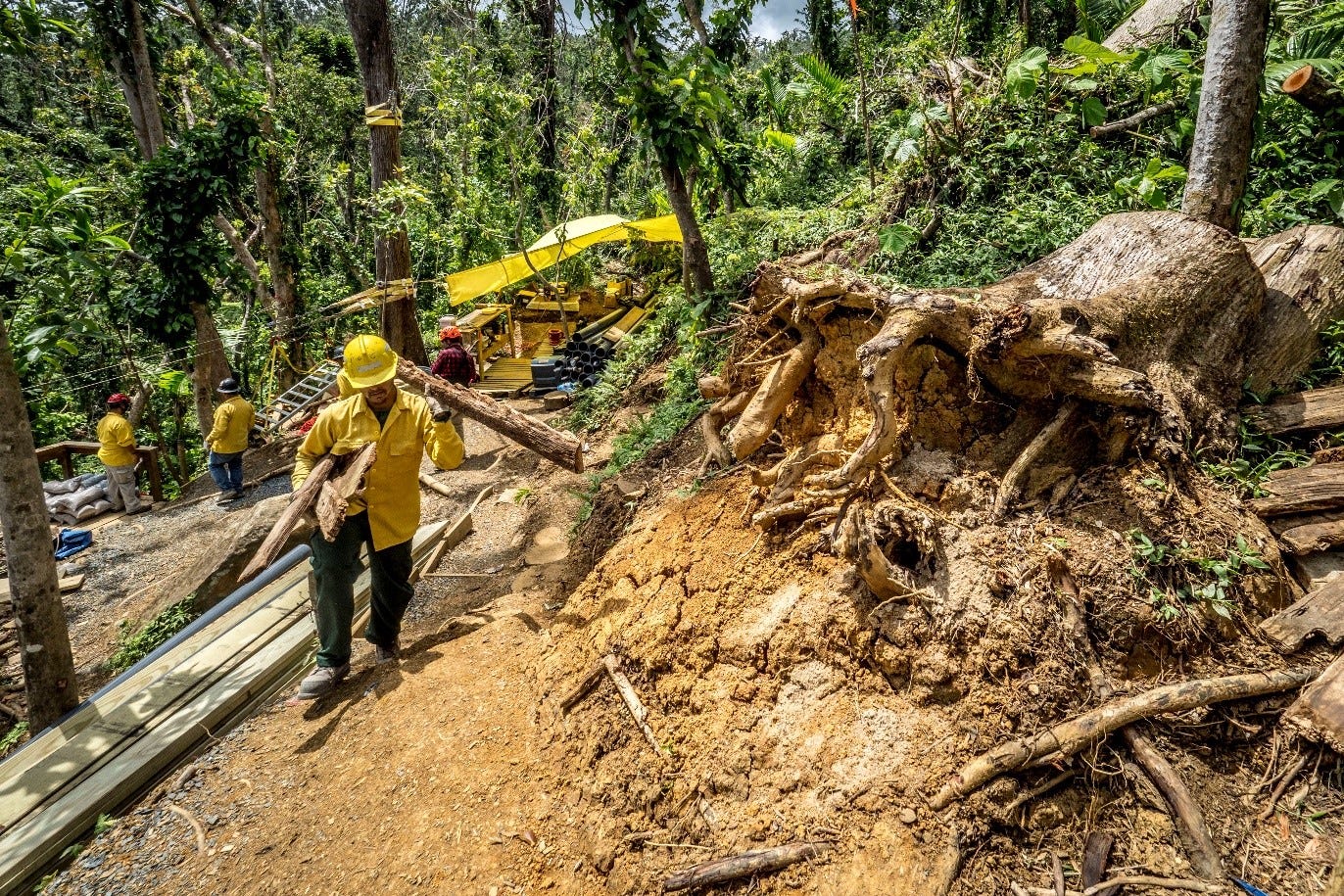 Puerto Rico: The promise of ecological forestry in the face of ...