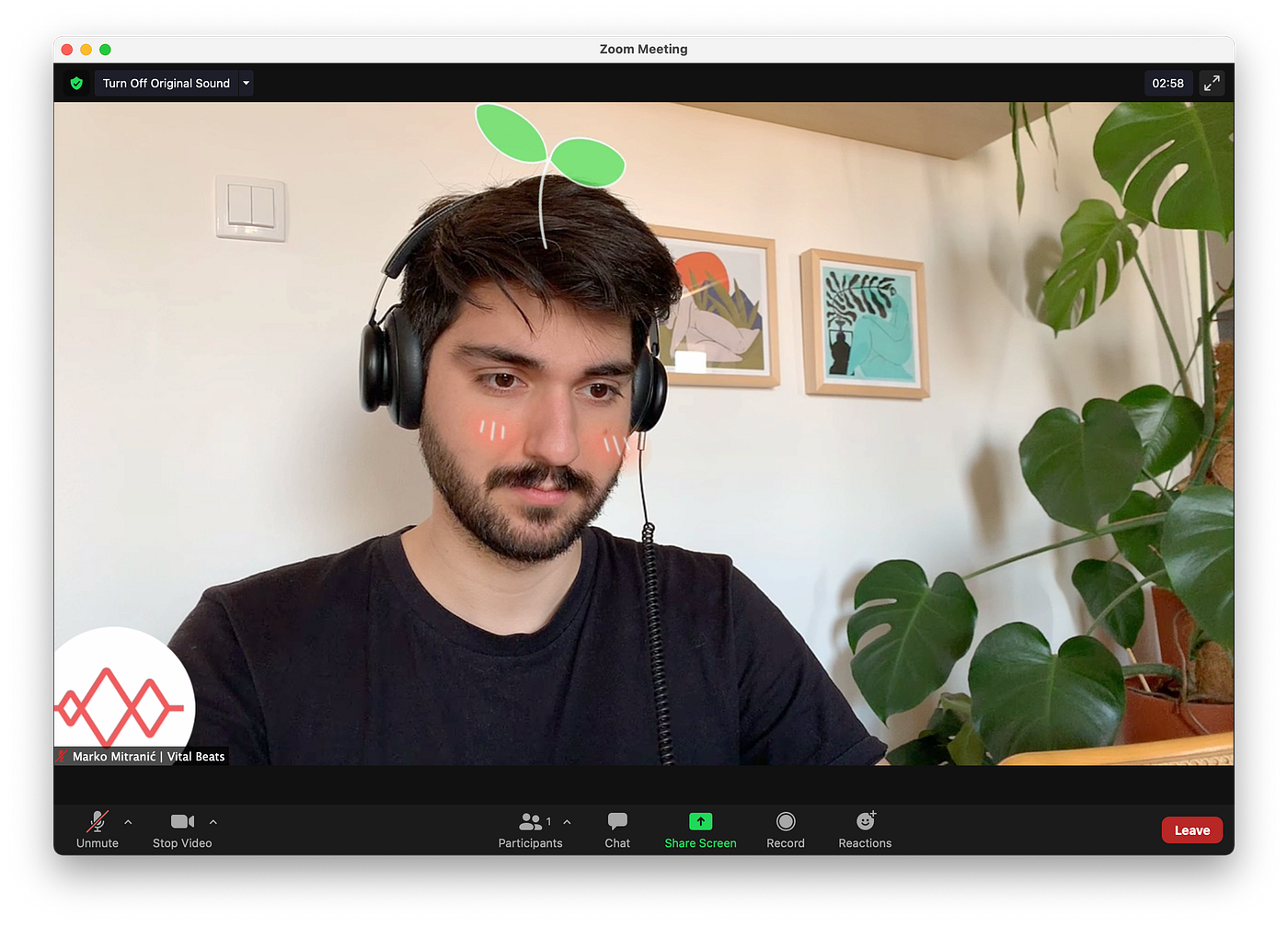 What Twitch streamers taught me about Video call etiquette | by Marko ...