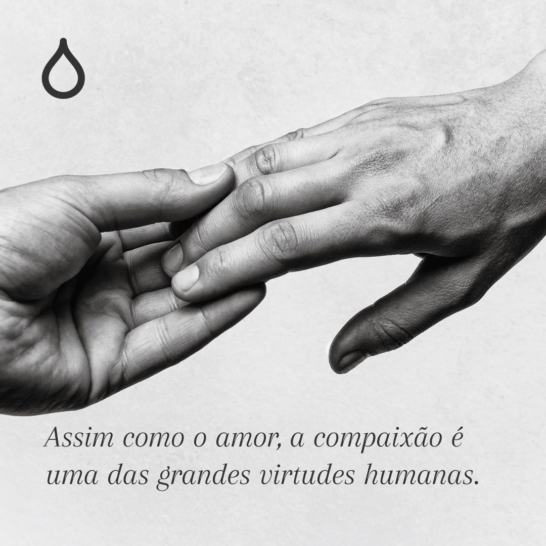 Compaixão e empatia. Em uma era em que a empatia é tão… | by Leo Pope ...