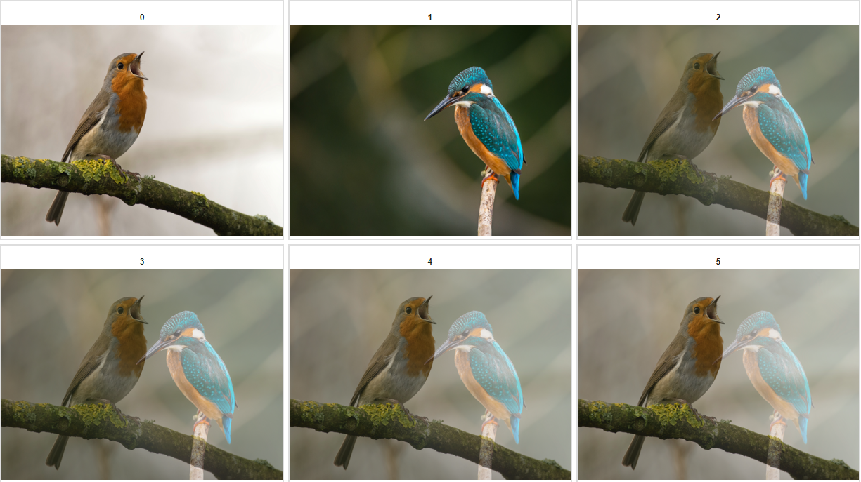 A Beginner’s Guide to Image Augmentations in Machine Learning | by ...
