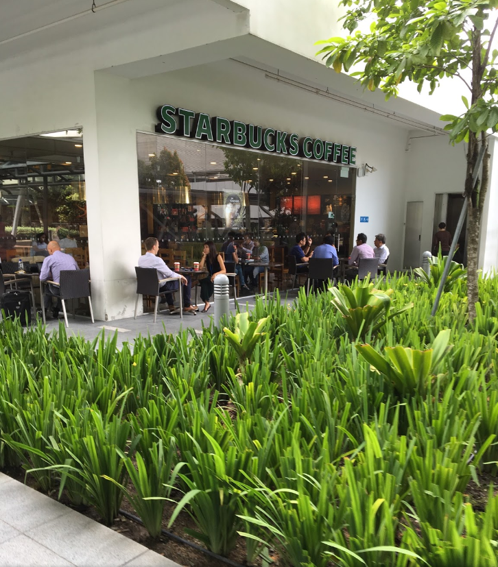 The best Starbucks in Singapore - Dadafish - Medium