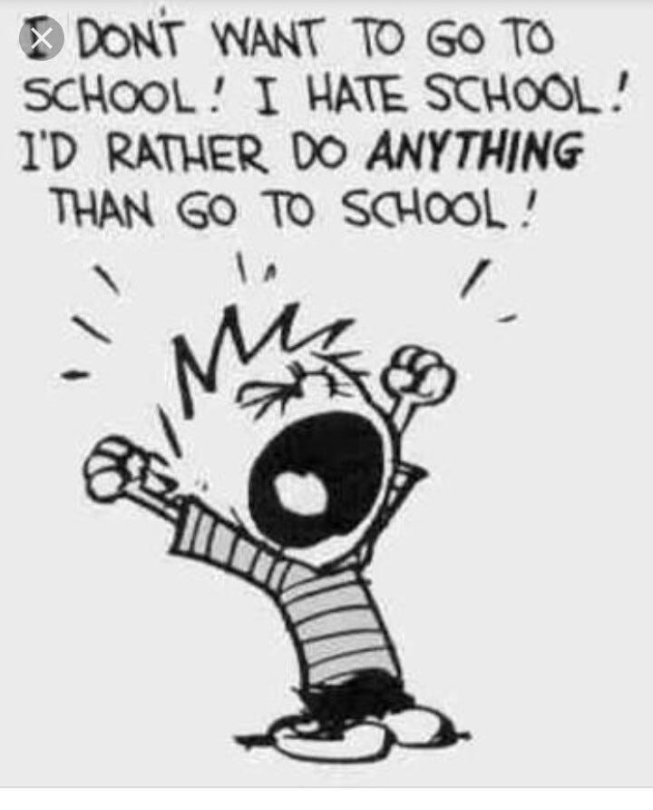 why-did-you-go-to-school-in-my-second-article-titled-what-by