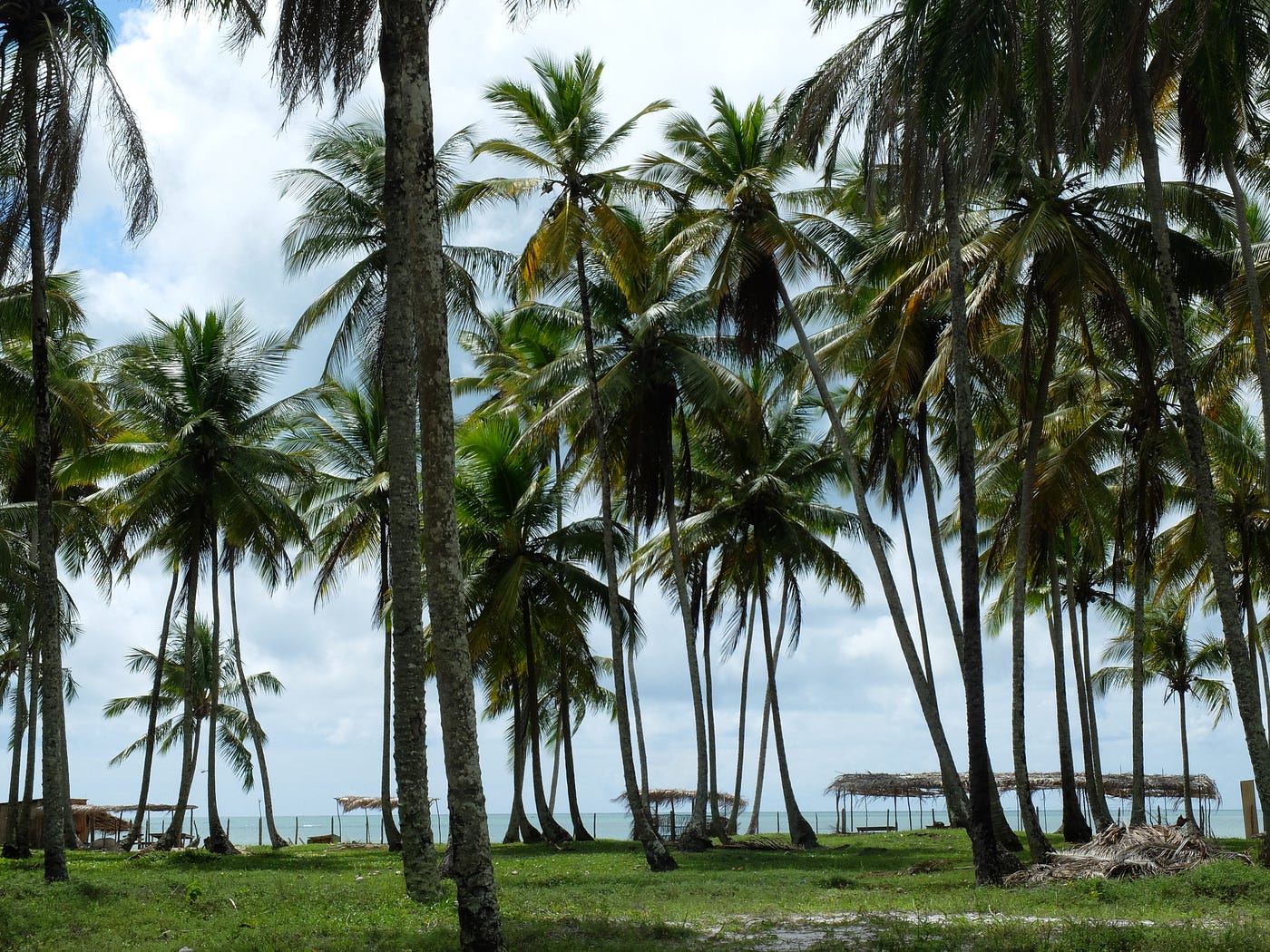 Ilha de Boipeba 🇧🇷. Le trajet jusqu’à Boipeba depuis… | by clem et greg ...