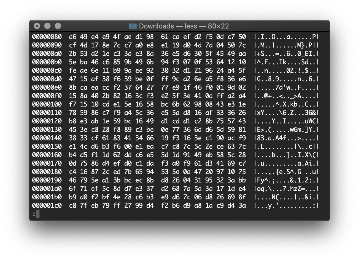 Protect Your Room Database With Sqlcipher On Android By Cédric F Medium