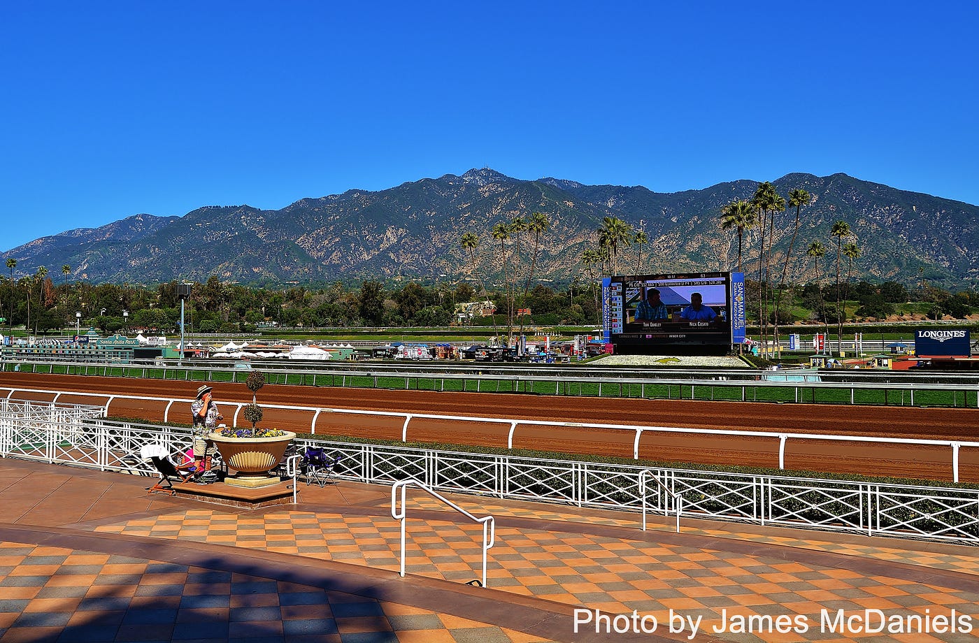 Santa Anita Park: Racing Legacy and Horse Ownership | by James ...