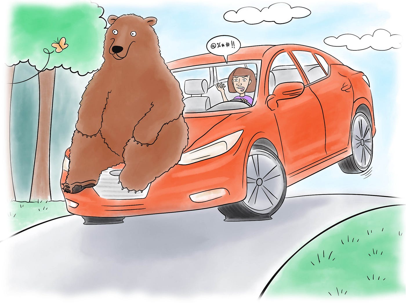 15 Perfectly Good Reasons You Had For “Poking The Bear” | by R.E ...