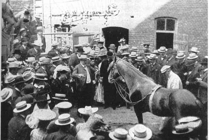 Clever Hans — The Horse That Could Count | by Erik Brown | Lessons from ...