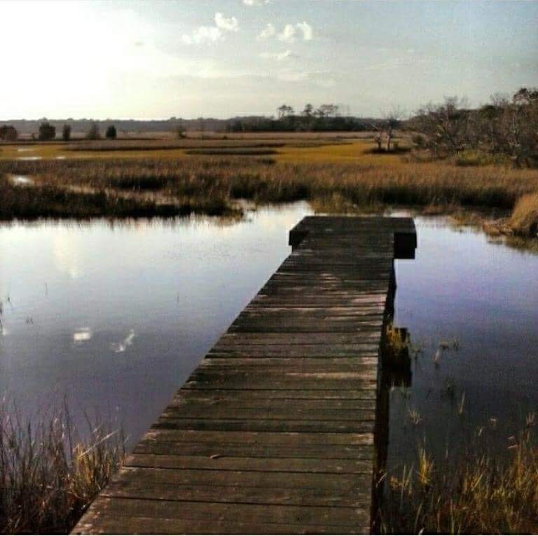 @buncecharleston. Over a period of time I have taken into… | by Chris ...