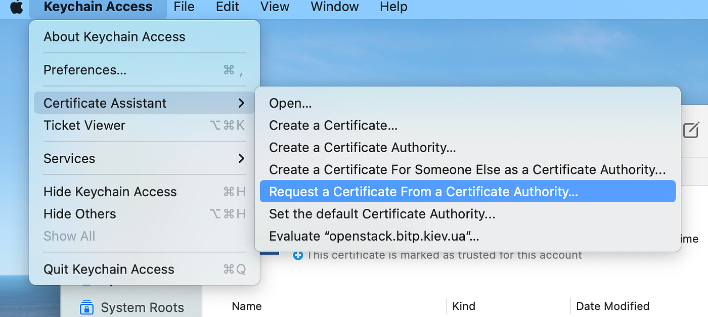 How to enable IOS Push Notifications (Flutter/Firebase) | by Valentyna Polienova | Aug, 2022 ...