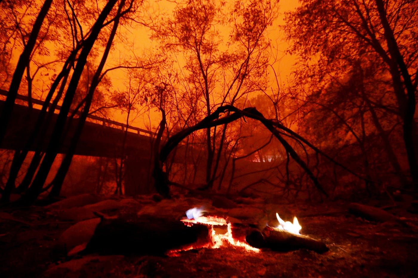 Why Forest Fire Policy Is a Hot Mess | by Ben Chapman | Medium