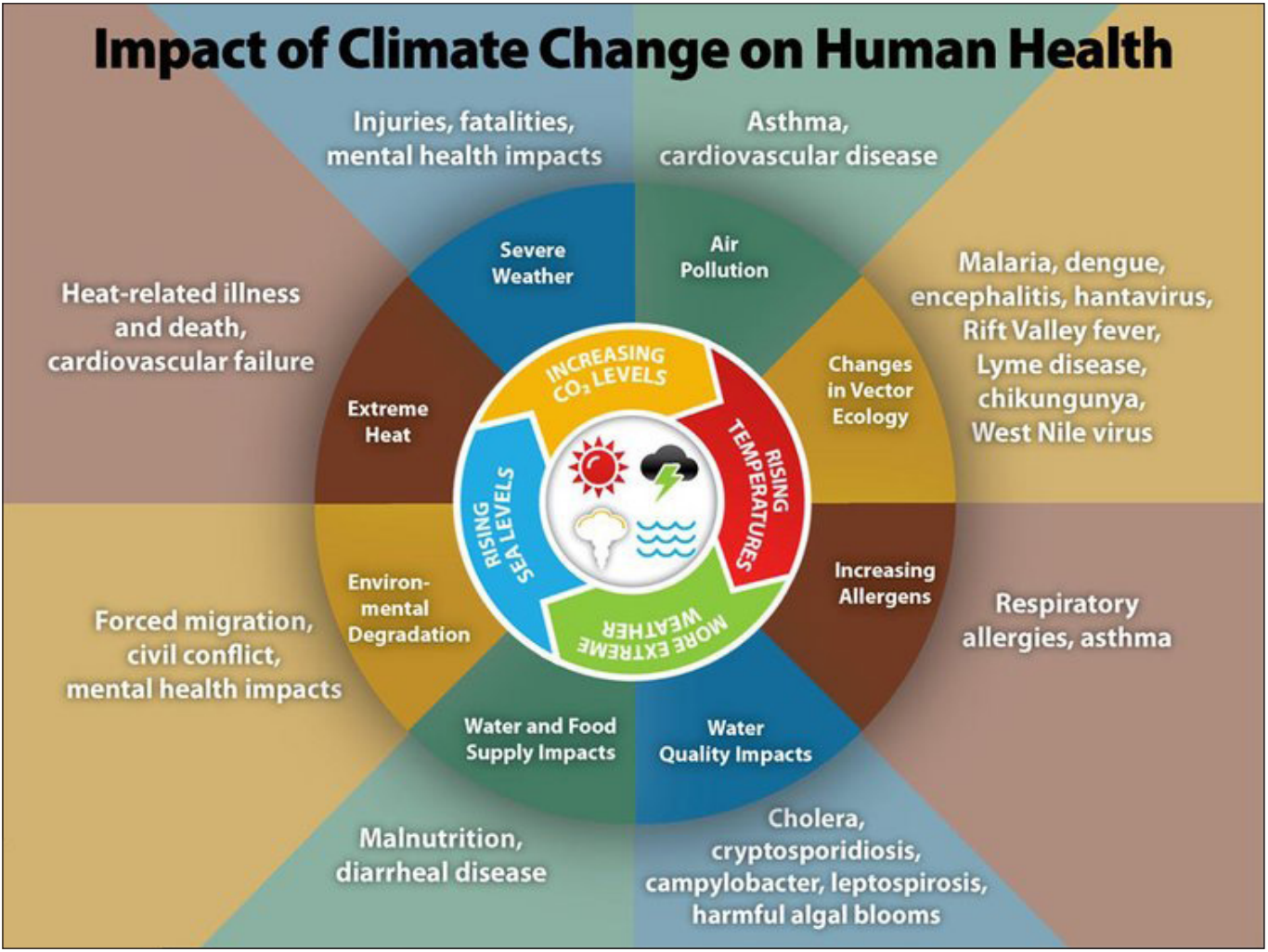 Sustain Healthcare. “First, do no harm.” Second, perish by… | by George ...
