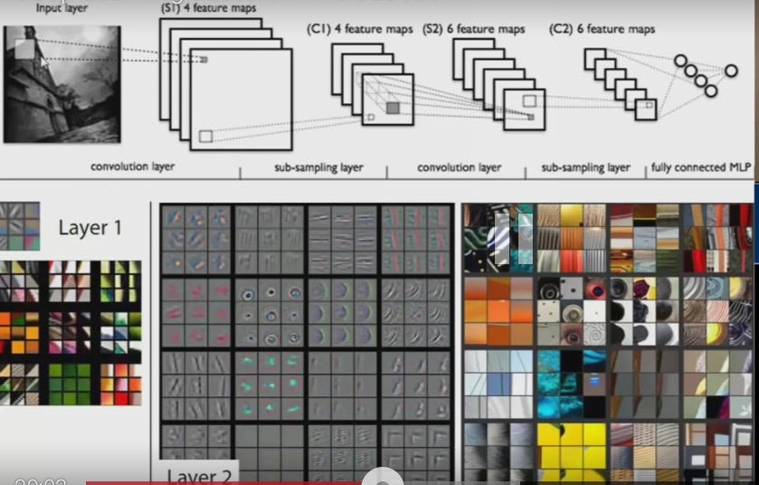 A glimpse inside the mind of a machine learning algorithm | by Miguel ...