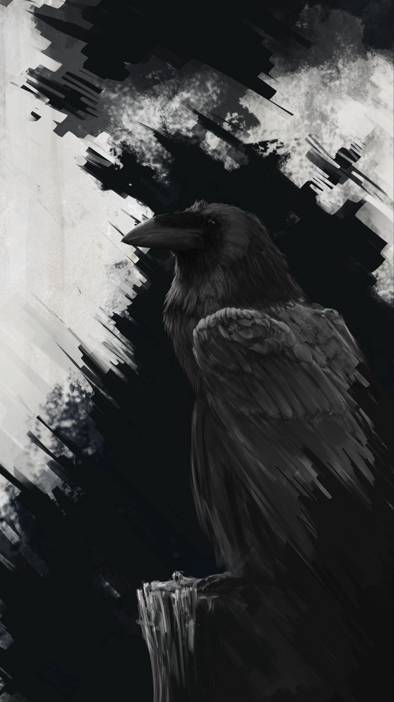 The Raven and The Light. A black raven perched on a tree… | by The ...