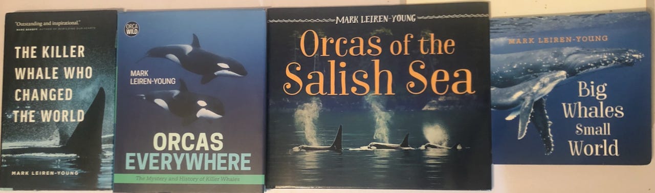 Orcas: Love at First Splash. Writing Orca Books for Young Readers | by ...