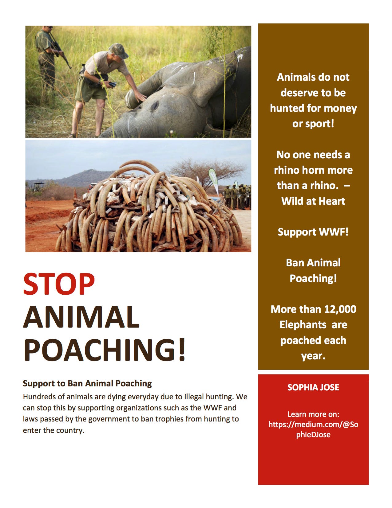 Stop Animal Poaching Poster | by SophieDJ | Medium