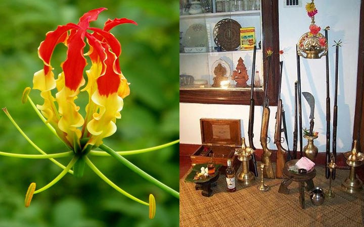 Everything You Need To Know About Coorg Festivals | by Sixth Element ...