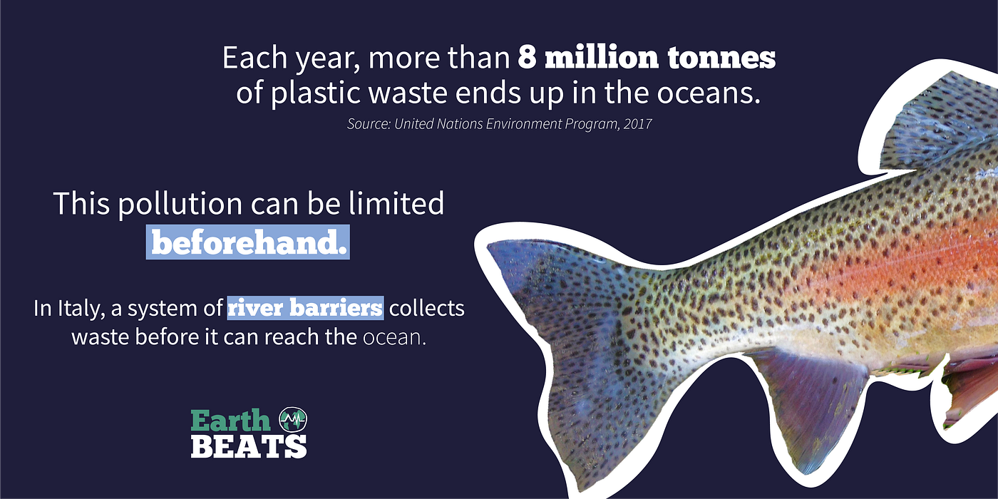 Four initiatives that are turning waste into wealth | by Sparknews | Medium