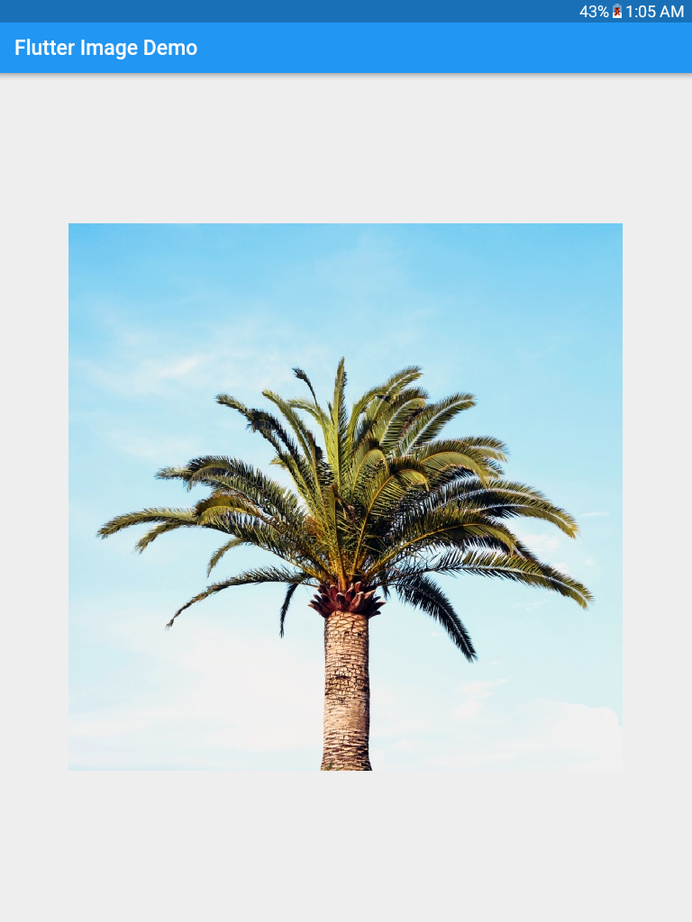 How to add images to your Flutter application | by Varun Chilukuri | Flutter Community | Medium